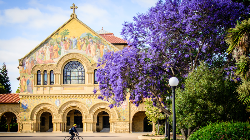 Welcome to the Stanford Alumni Association | Stanford Alumni Association